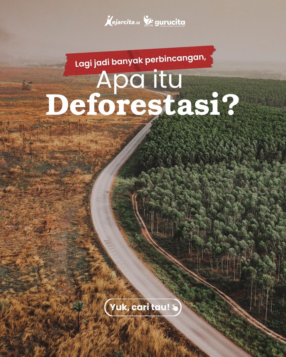 Apa Itu DEFORESTASI?